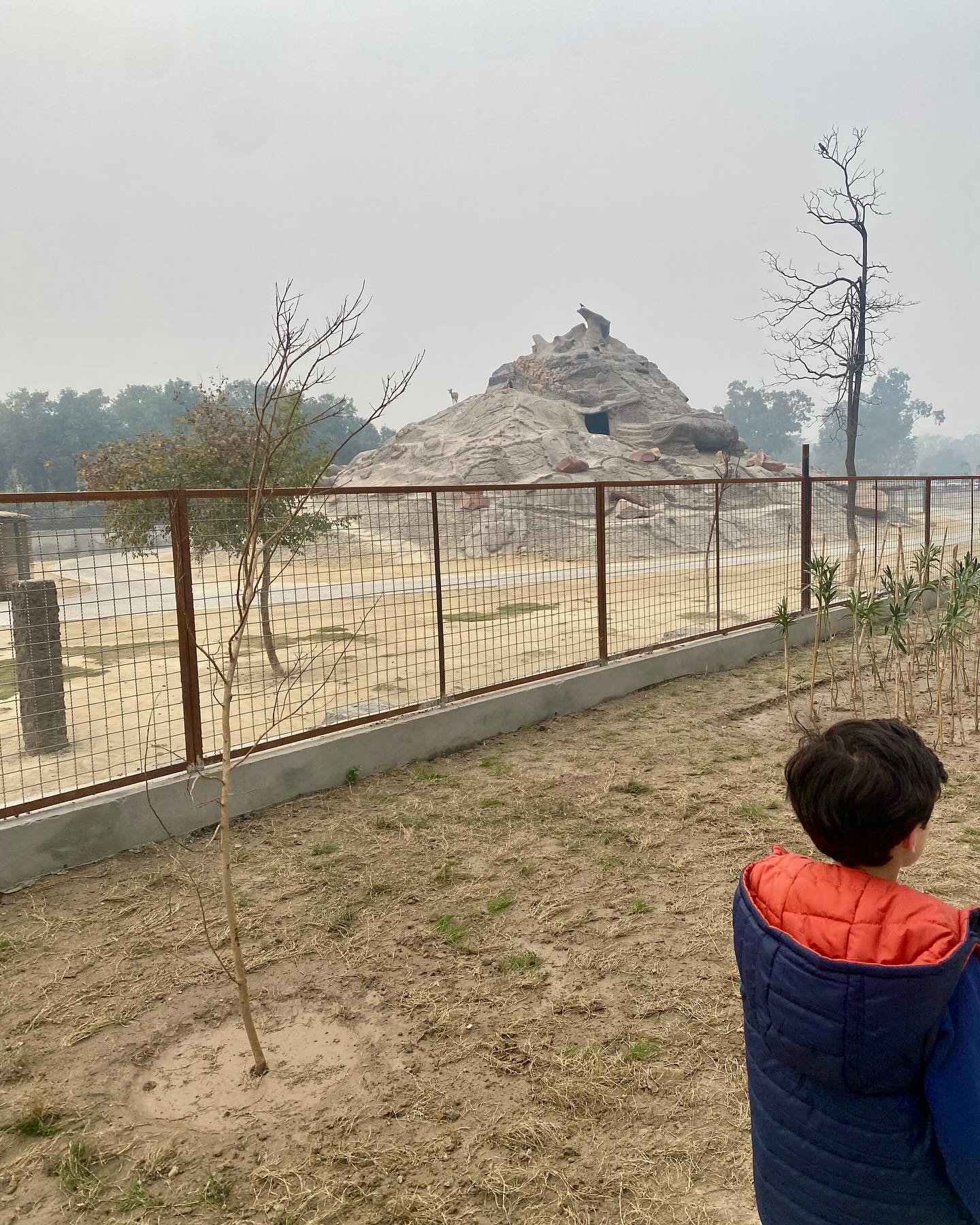 Safari Park Lahore - Complete Guide (2025)